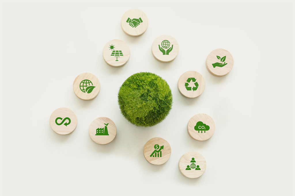 Sustainability - Polverini