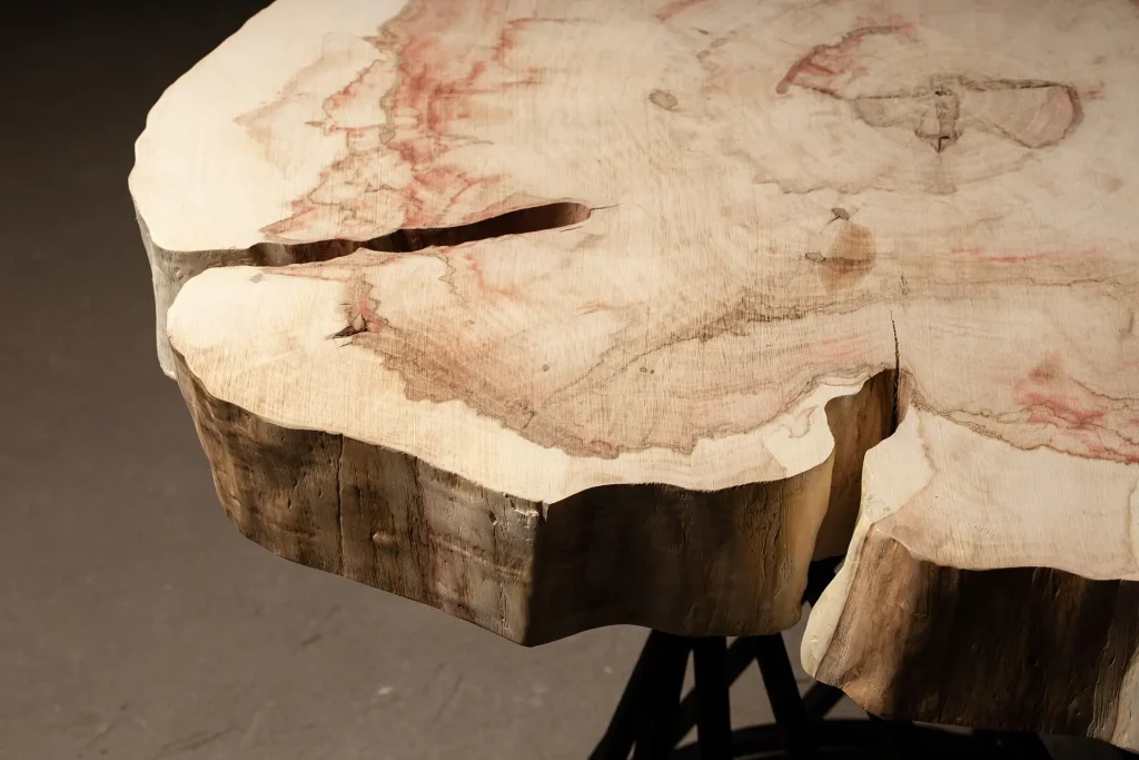 Services - Polverini